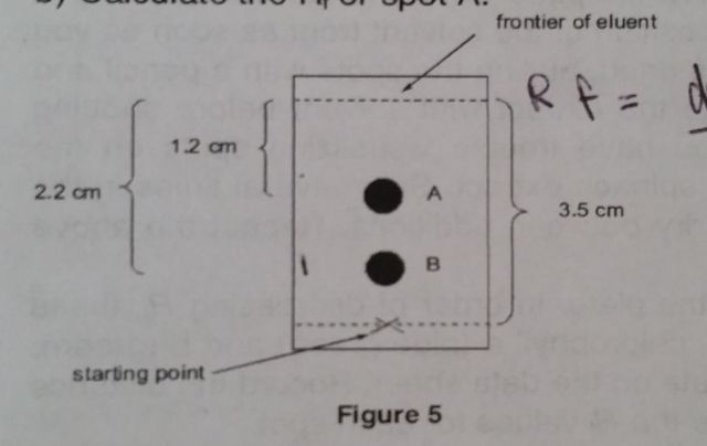 Solved What Would Happen To The Rf Values Of The Spots If