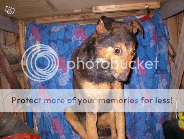 Userpage of SonicTheBro -- Fur Affinity [dot] net