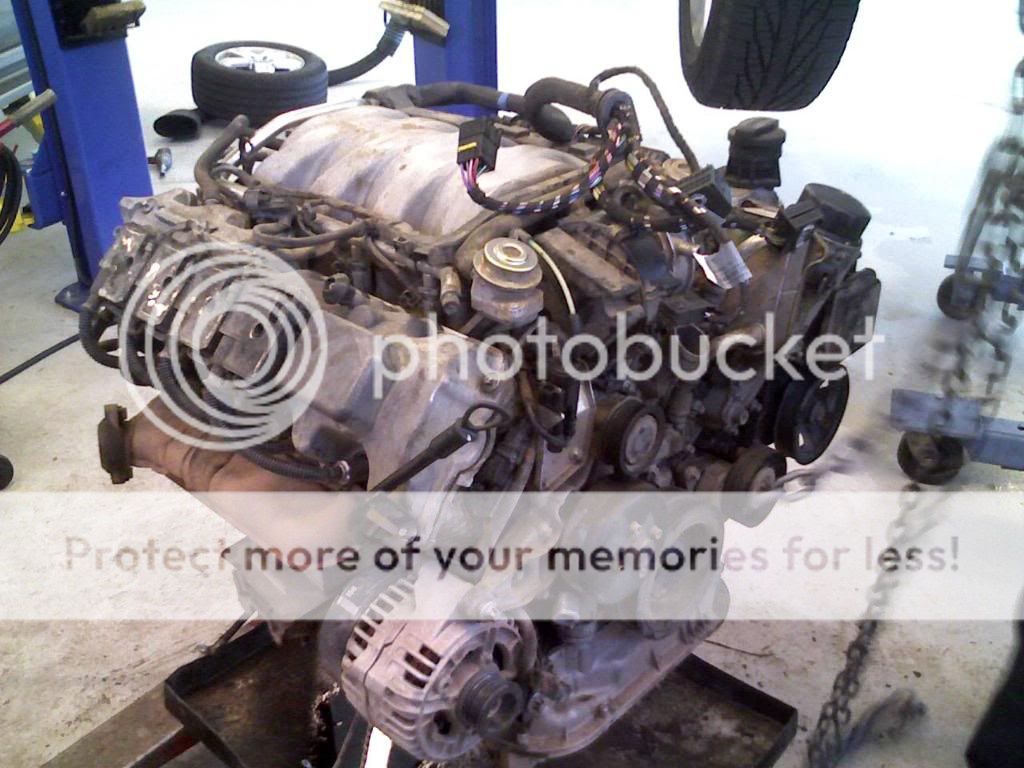 cool pics of my 430's engine | Mercedes-Benz Forum